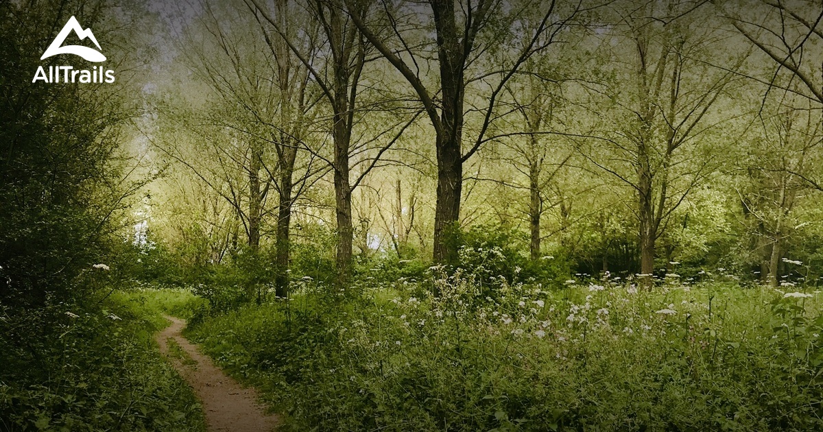 Best walking trails in Ashford Hill National Nature Reserve | AllTrails