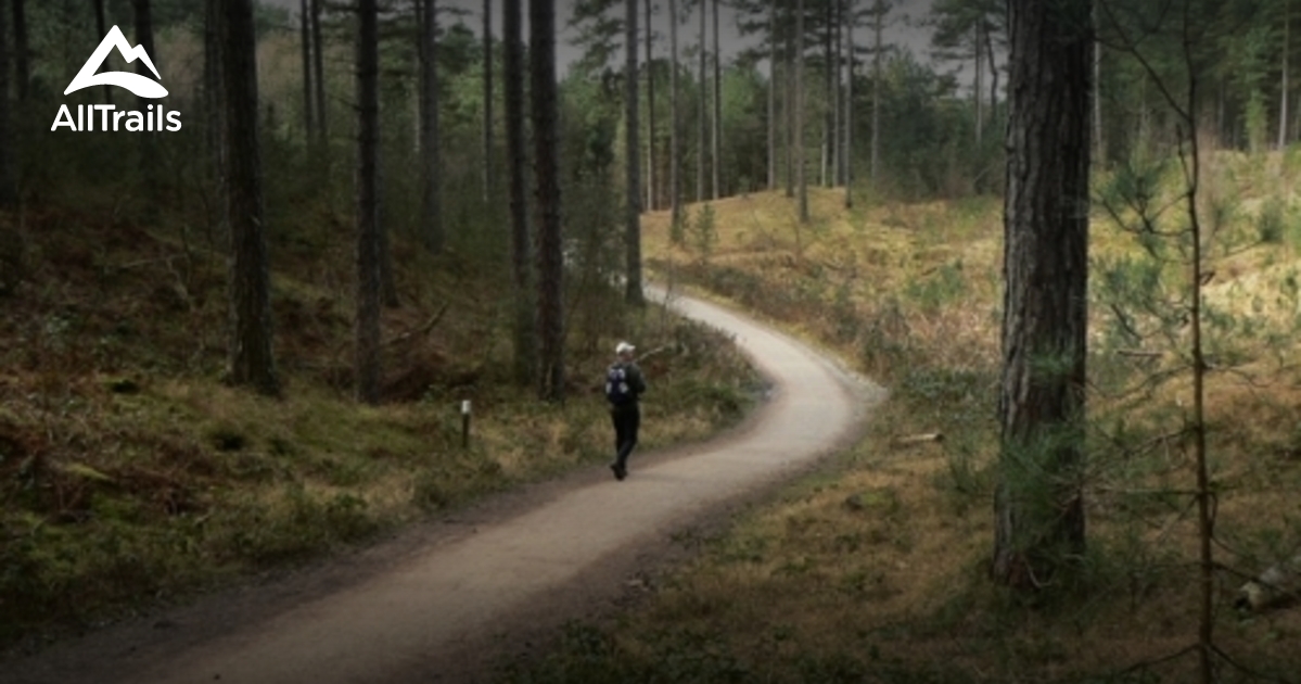 Best Trails in Ainsdale Sand Dunes Nature Reserve - Merseyside, England ...