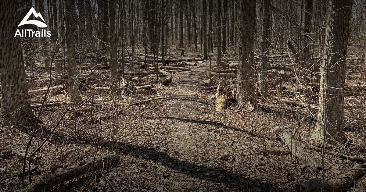 Best hikes and trails in C.M. Wilson Conservation Area | AllTrails