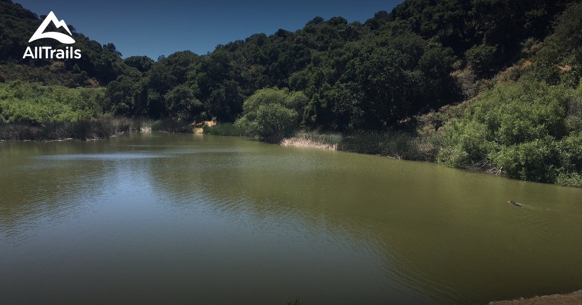 Los mejores senderos y rutas en Water Dog Lake Open Space | AllTrails