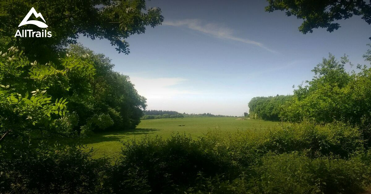 Best walking trails in Stoke Park Wood | AllTrails