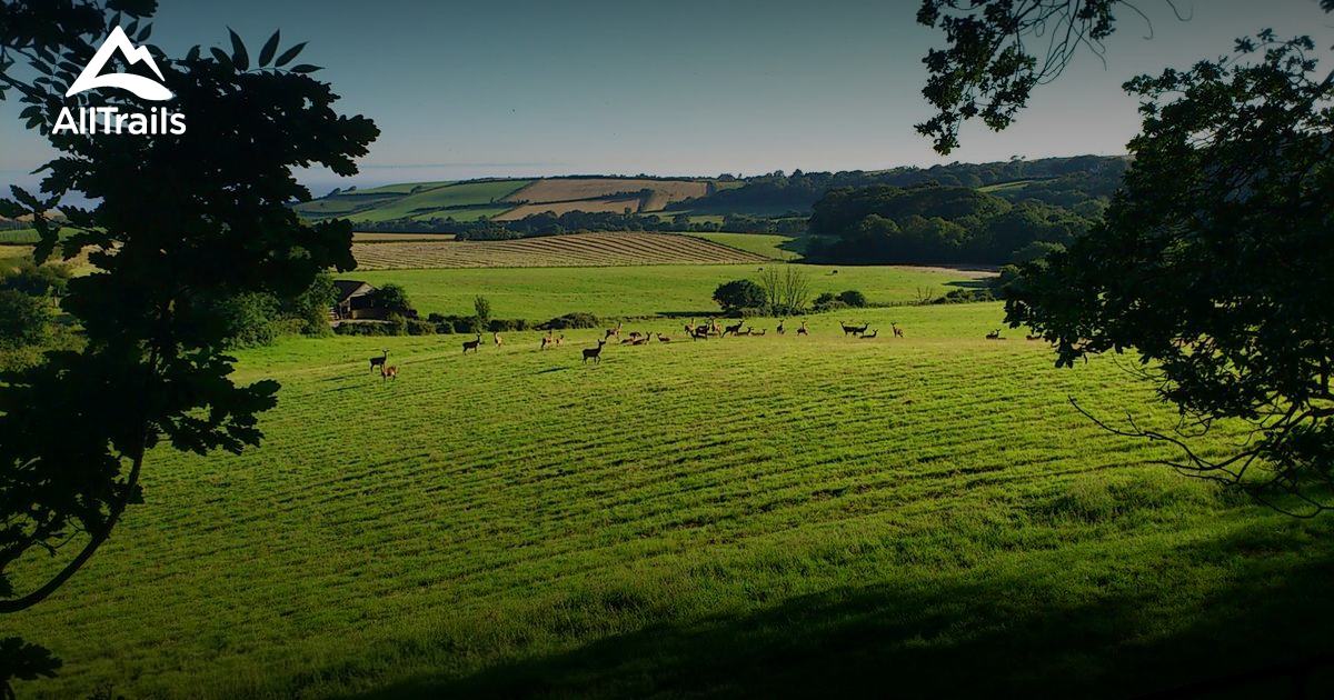 Best Trails in Quantock Hills Area of Outstanding Natural Beauty ...