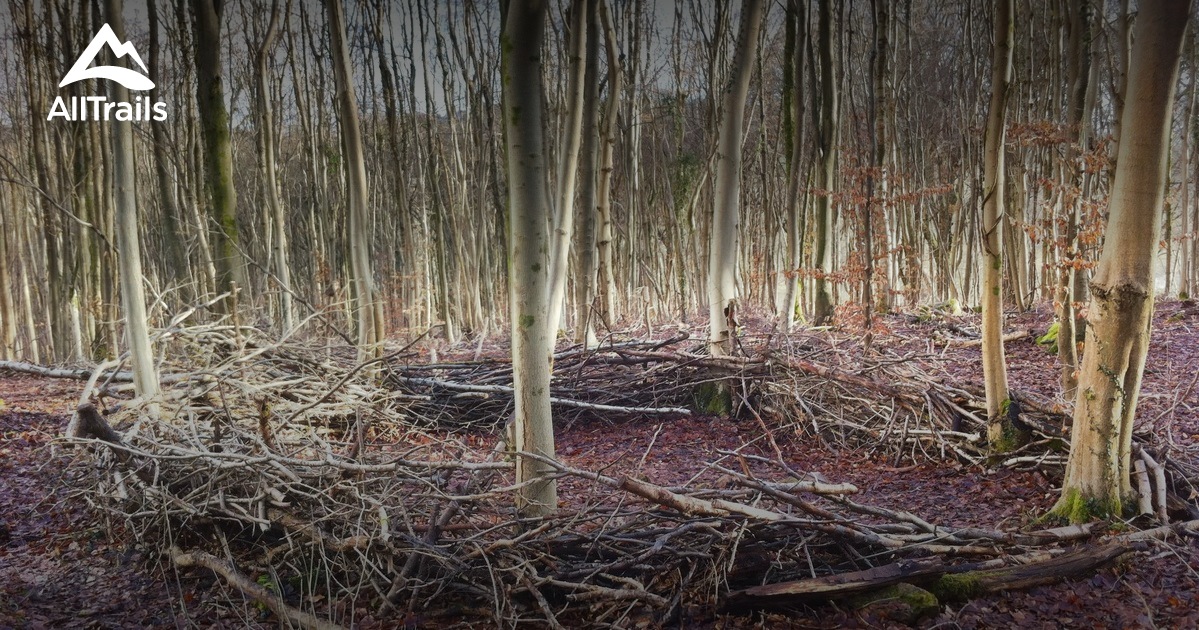 Best Trails in Fforest Fawr - Cardiff, Wales | AllTrails
