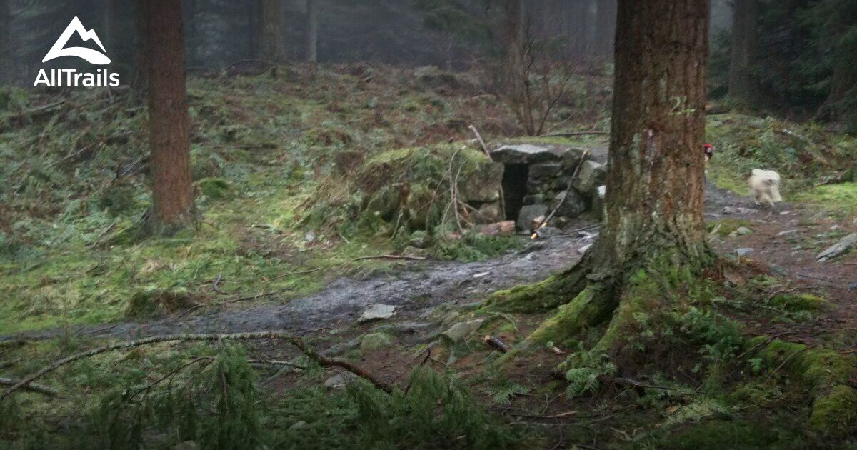 Best hikes and trails in Tyrebagger | AllTrails