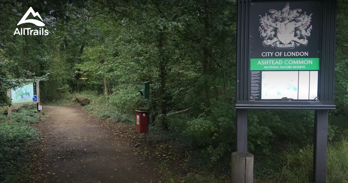 Best Trails in Ashtead Common National Nature Reserve - Surrey, England ...