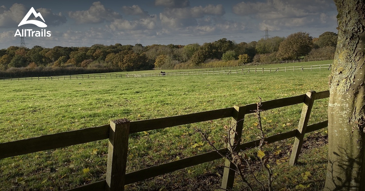 Best hikes and trails in Ashtead Common National Nature Reserve | AllTrails