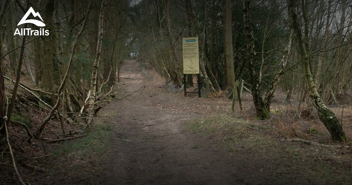 Best hikes and trails in Castle Bottom | AllTrails