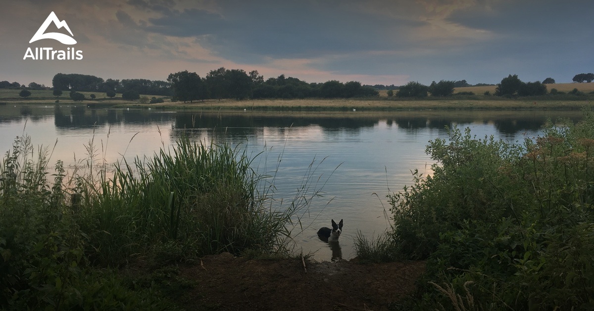 Best lake trails in Sywell Country Park | AllTrails