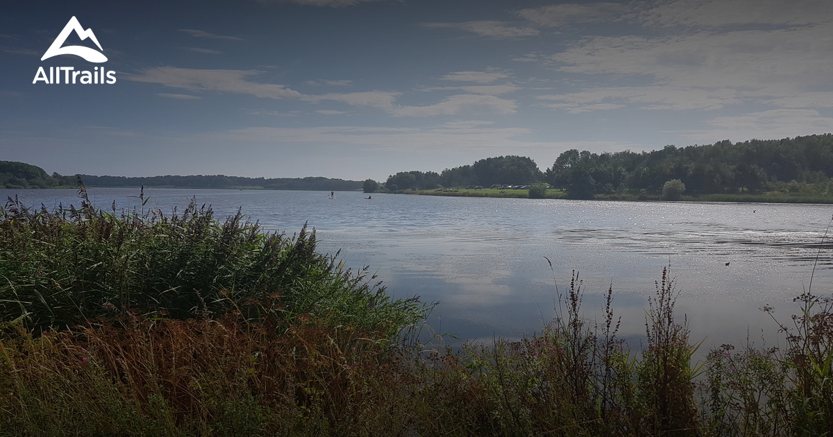 Druridge Bay Country Park: as melhores caminhadas e trilhas | AllTrails