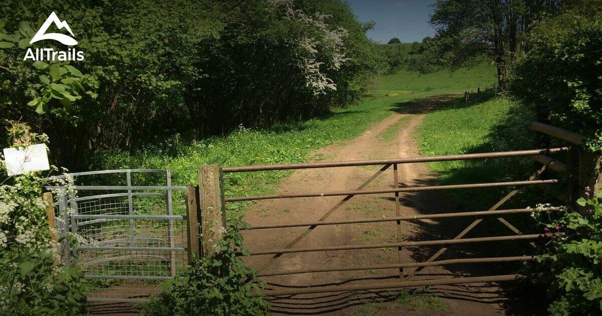 Best easy trails in Puttenham Common | AllTrails