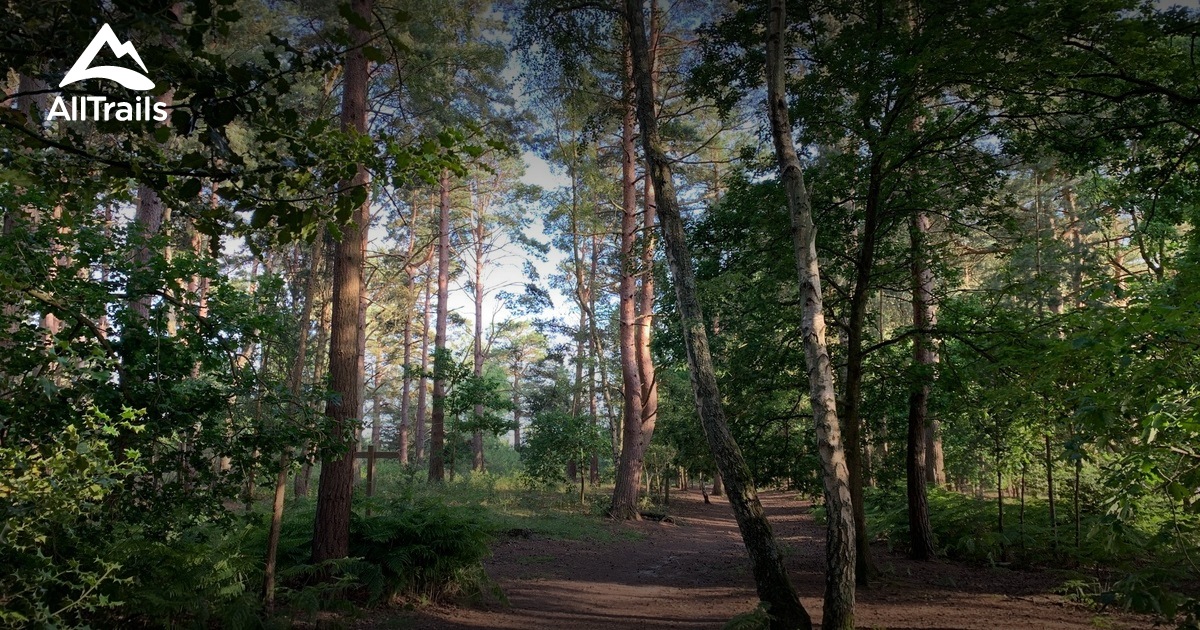 Best Trails in Blackheath Common - Surrey, England | AllTrails
