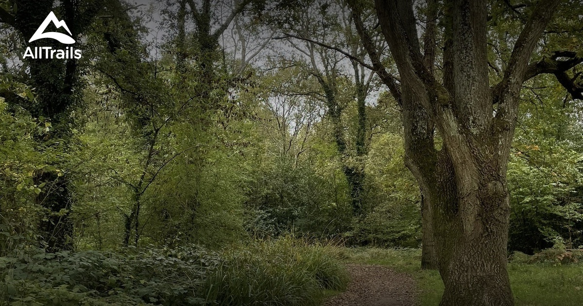 Best hikes and trails in Bookham Commons | AllTrails