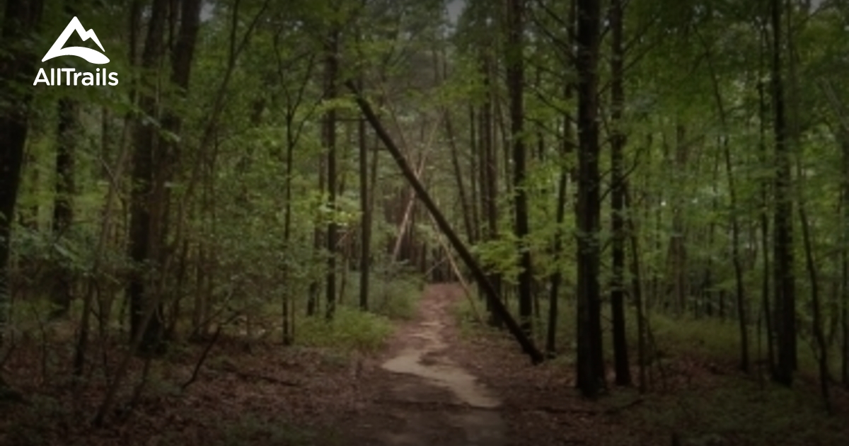 Best Trails in Severn Run Natural Environment Area - Maryland | AllTrails