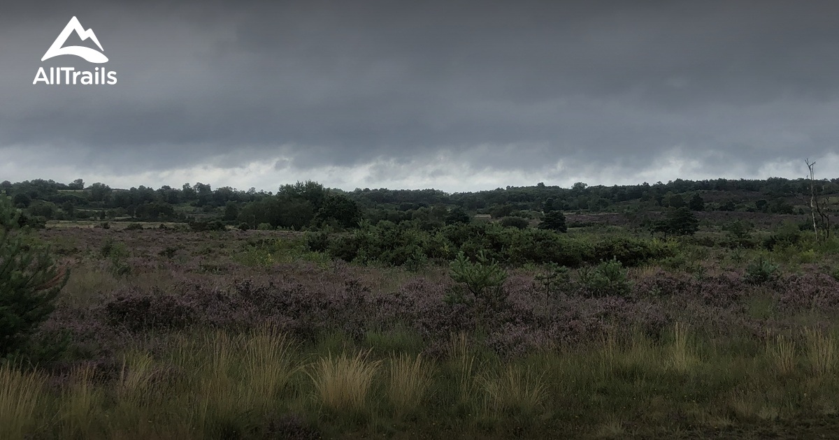 Best historic site trails in Chobham Common | AllTrails