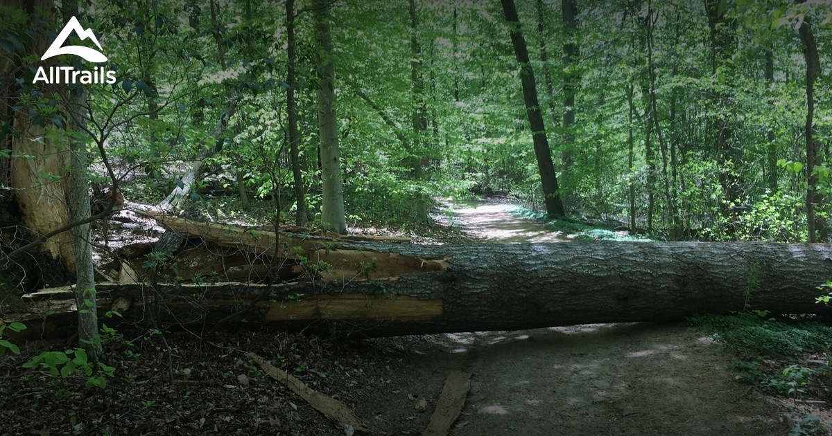 Best hikes and trails in Odenton Natural Area | AllTrails