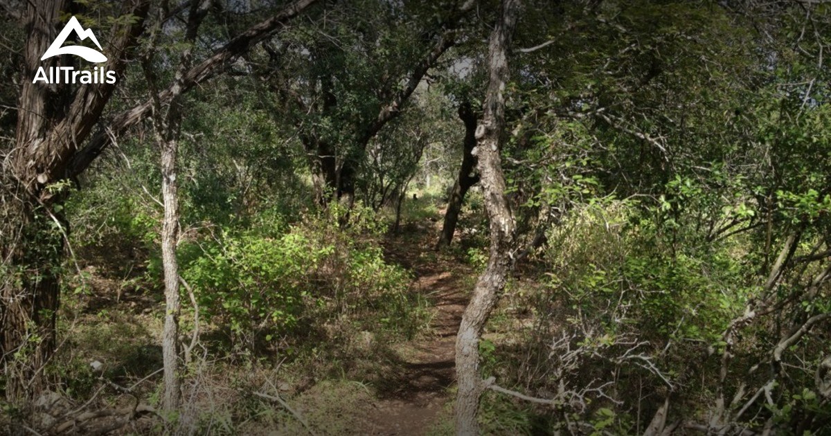 Best Trails in Ringtail Ridge Natural Area - Texas | AllTrails