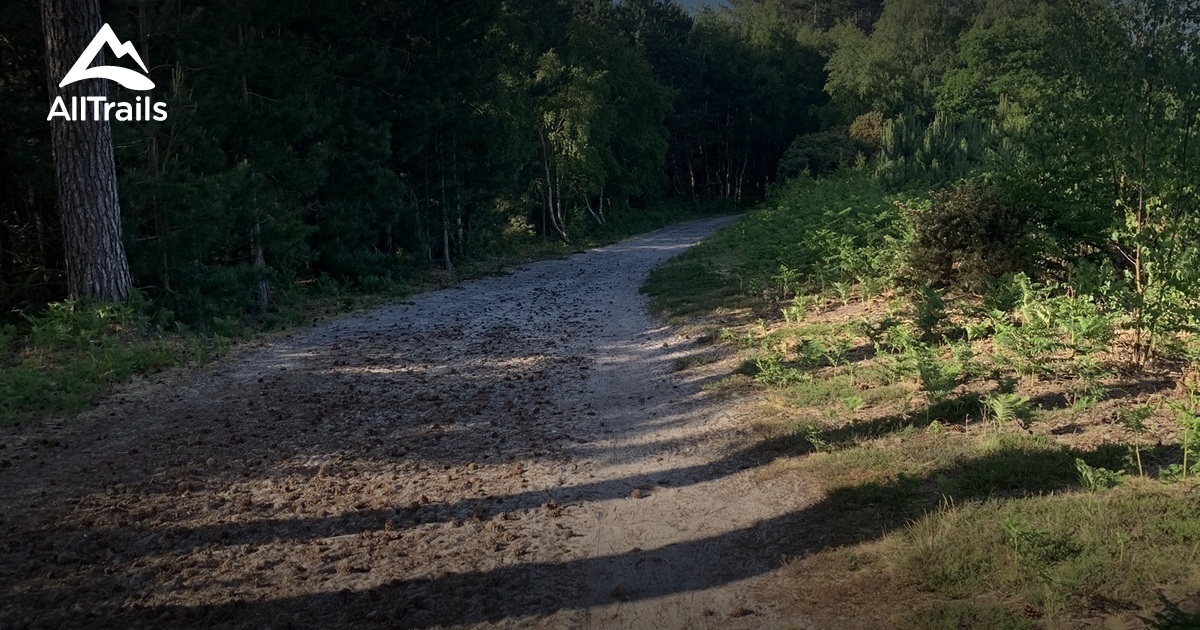 10 Best hikes and trails in Rendlesham Forest | AllTrails