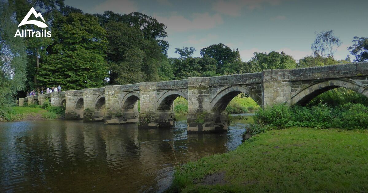 10 Best walking trails in Cannock Chase National Landscape (AONB ...