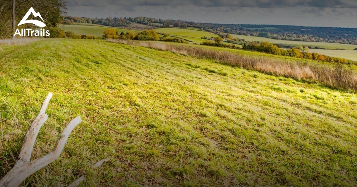 Best Trails in Chiltern Hills Area of Outstanding Natural Beauty ...