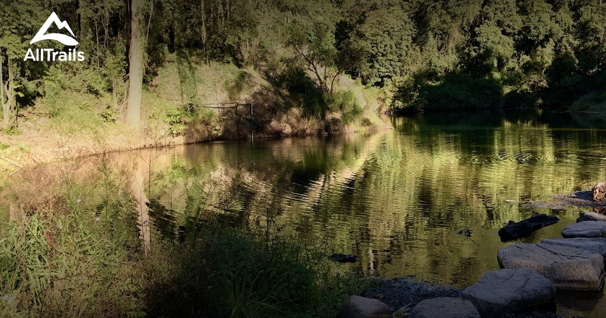 Best Trails in Amamoor State Forest - Queensland, Australia | AllTrails