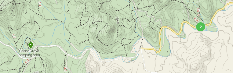 Best Hikes and Trails in Amamoor State Forest | AllTrails