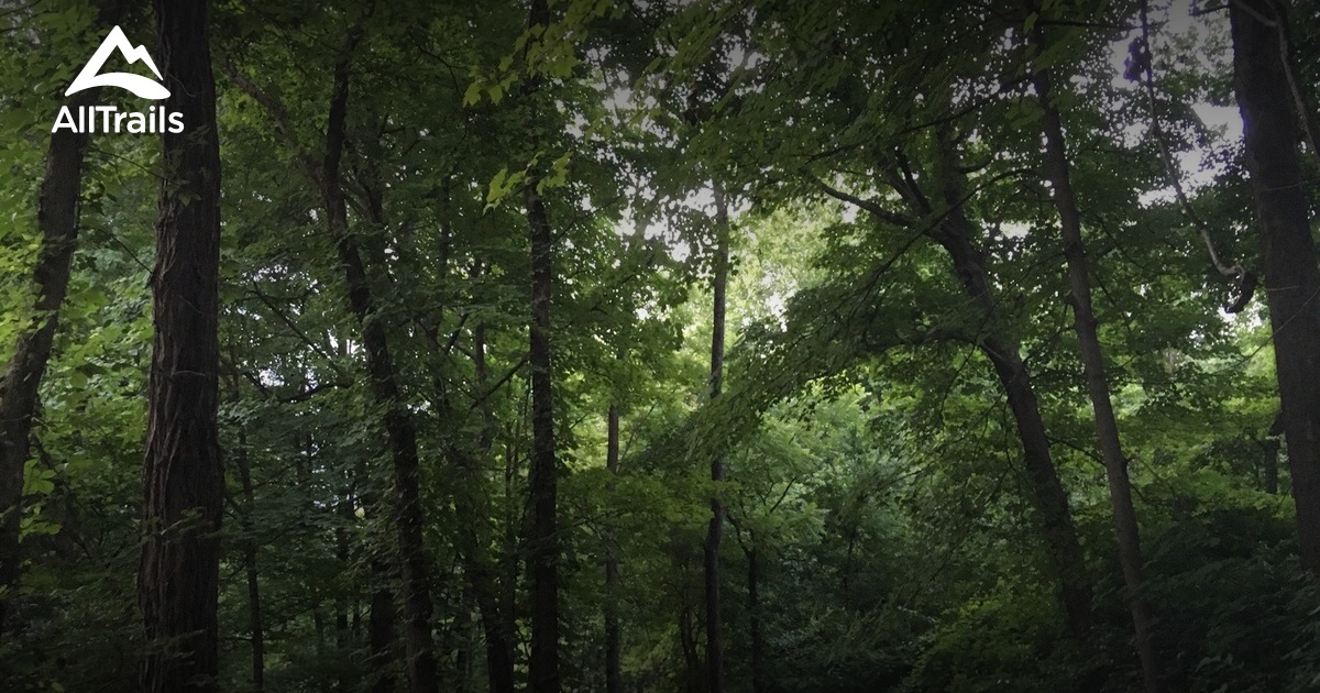 Best hikes and trails in Symmes Township Park | AllTrails