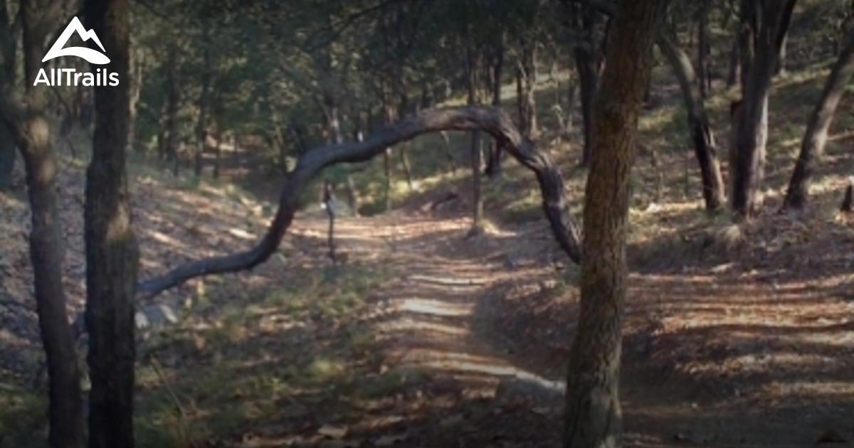 Best walking trails in Bosque de la Primavera | AllTrails