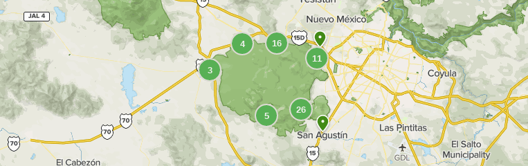 Los 10 mejores senderos en Bosque de la Primavera | AllTrails