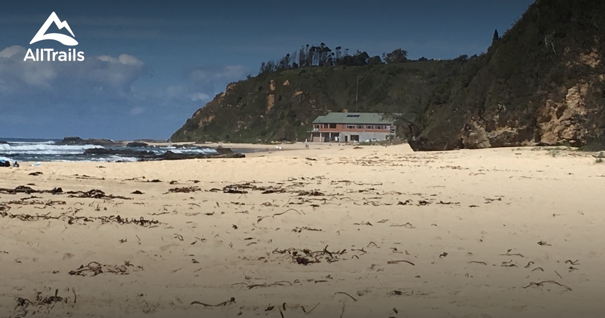 Best Trails in Nambucca State Forest - New South Wales, Australia ...