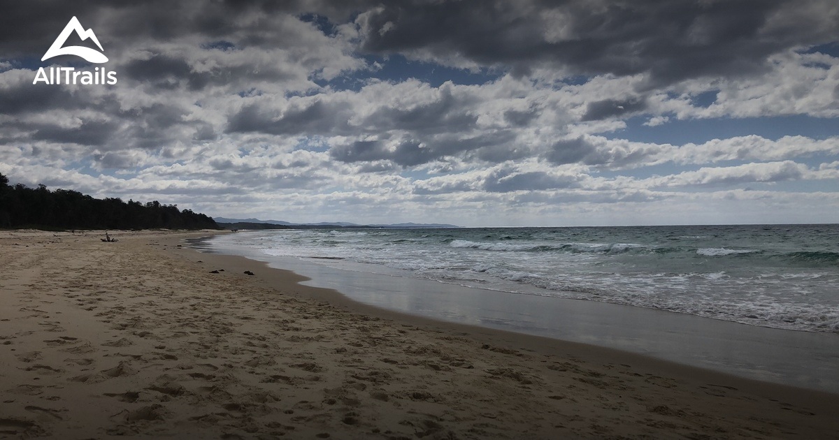 Best hikes and trails in Nambucca State Forest | AllTrails