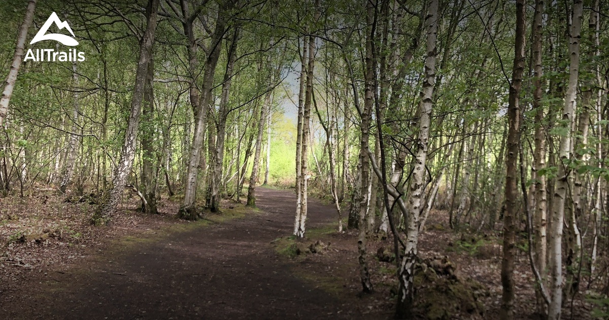 Best hikes and trails in Blean Woods Nature Reserve | AllTrails