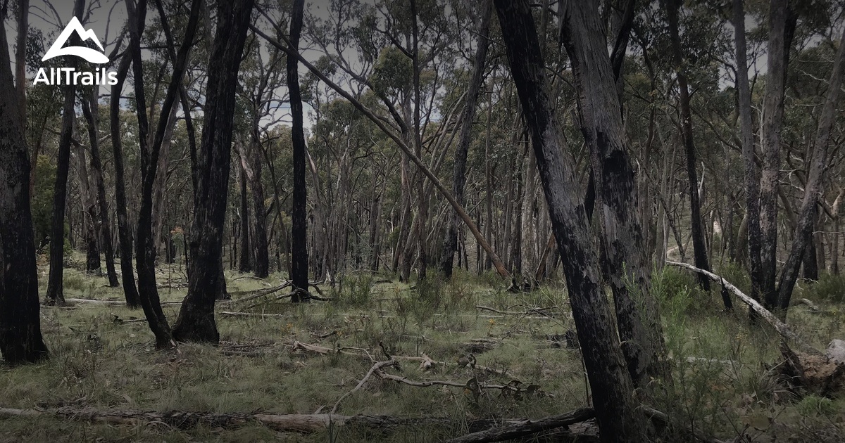 Best Trails in Creswick State Forest - Victoria, Australia | AllTrails