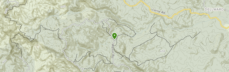 Best Trails in Comboyne State Forest - New South Wales, Australia ...