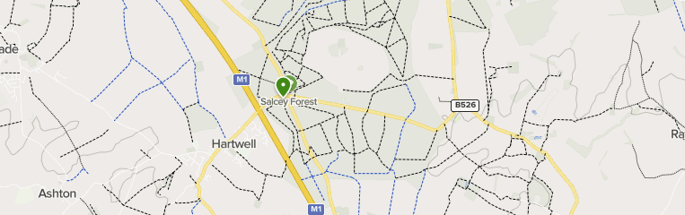 Best Trails in Salcey Forest | AllTrails