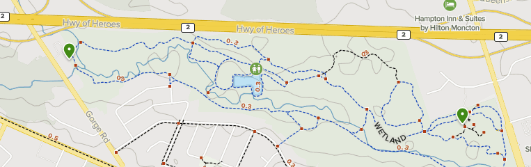 Best Hikes and Trails in Mapleton Park | AllTrails