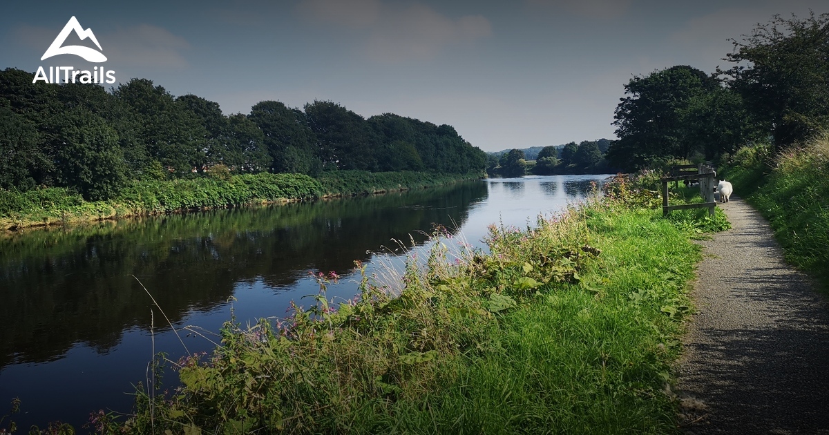 Best hikes and trails in Avenham Park | AllTrails