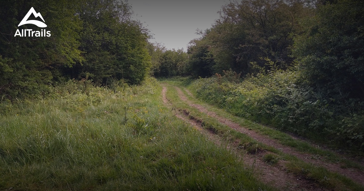 Best Trails in Martin Down National Nature Reserve - Hampshire, England ...