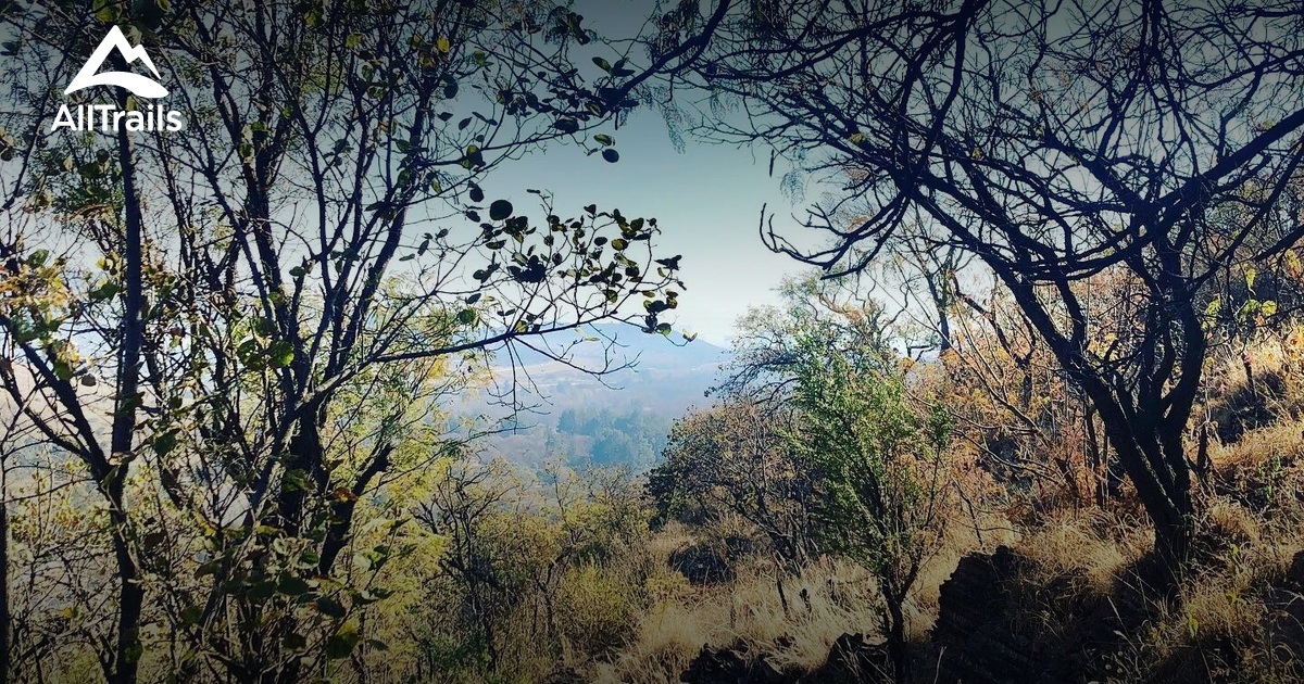 Best Trails in Groenkloof Nature Reserve - Gauteng, South Africa ...