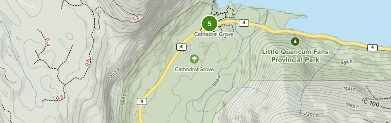 Best 10 Trails in MacMillan Provincial Park | AllTrails