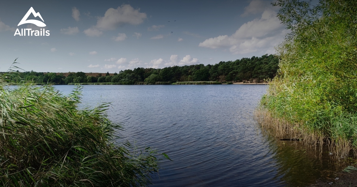 Best beach trails in Frensham Common | AllTrails