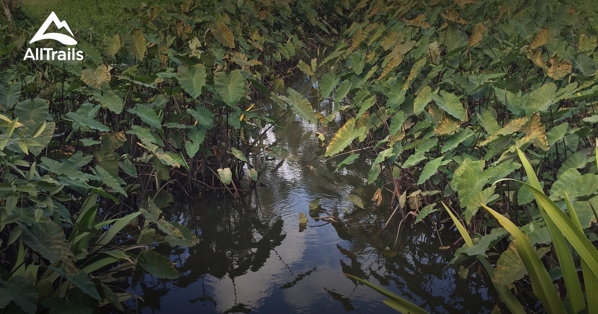 Best hikes and trails in Minnippi Parklands | AllTrails