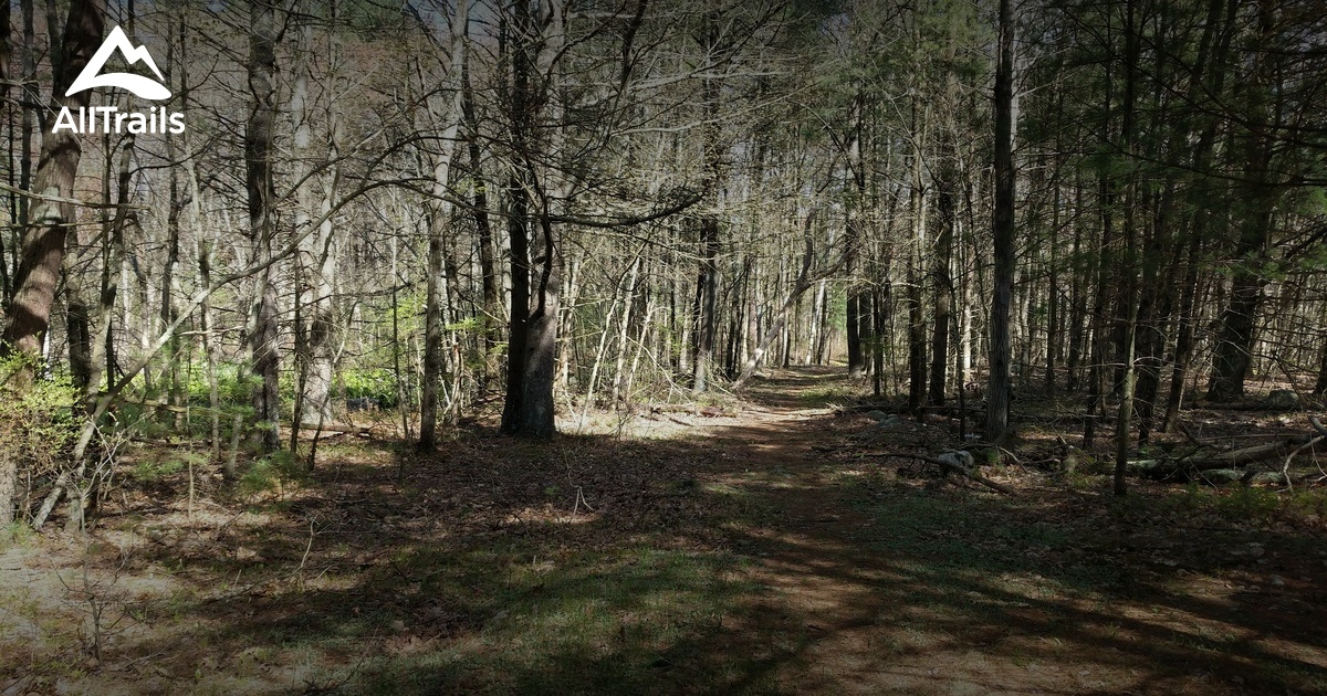 Bulette Conservation Land - Town Forest: de beste routes om te wandelen ...