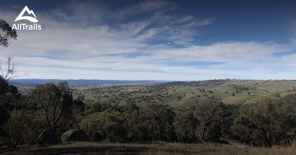 Best hikes and trails in Vittoria State Forest | AllTrails