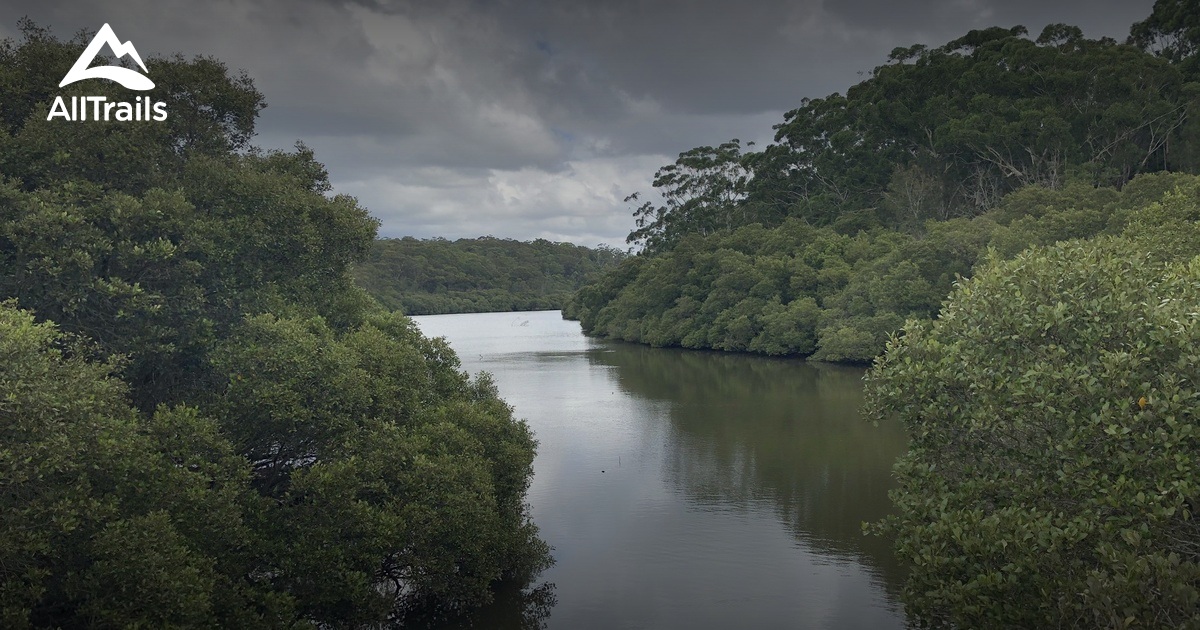Best Trails in Oatley Park - New South Wales, Australia | AllTrails