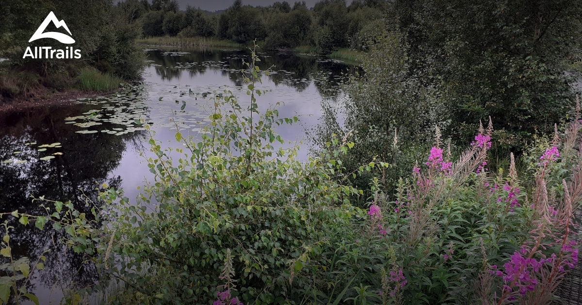 Cors Caron National Nature Reserve: de beste routes om te wandelen ...