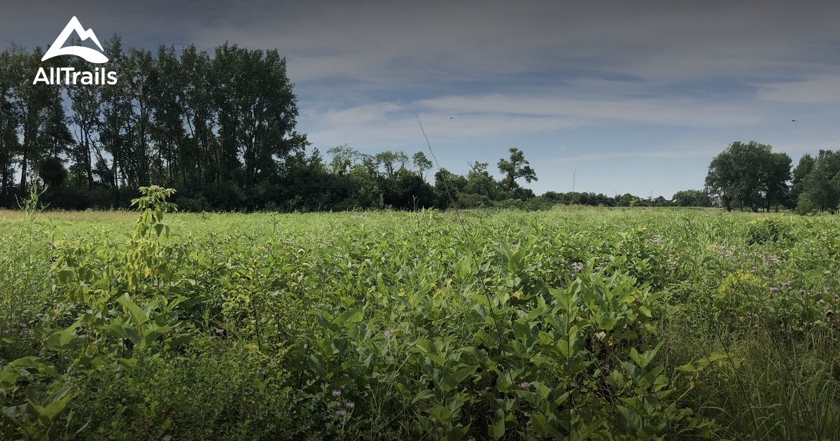 Best hikes and trails in Exner Marsh Conservation Area | AllTrails