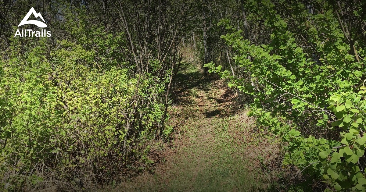 Best hikes and trails in Wynyard Regional Park | AllTrails