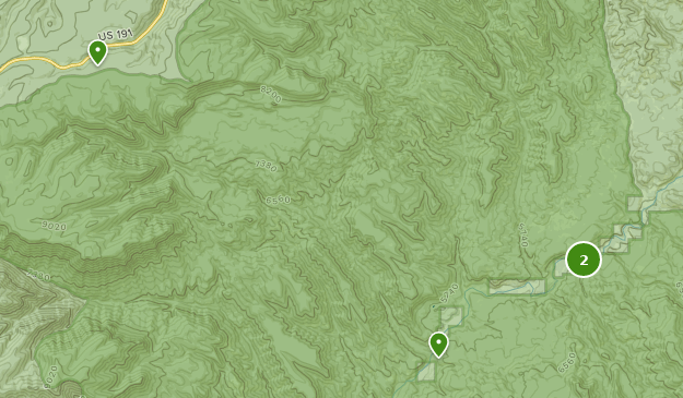 Best Trails in Blue Range Primitive Area - Arizona | AllTrails