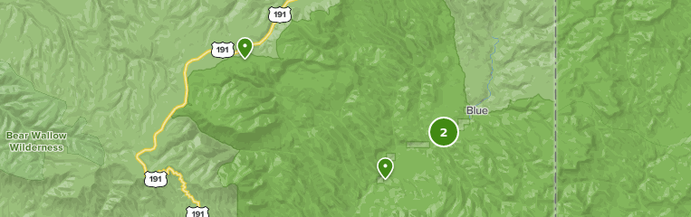 Best Trails in Blue Range Primitive Area - Arizona | AllTrails