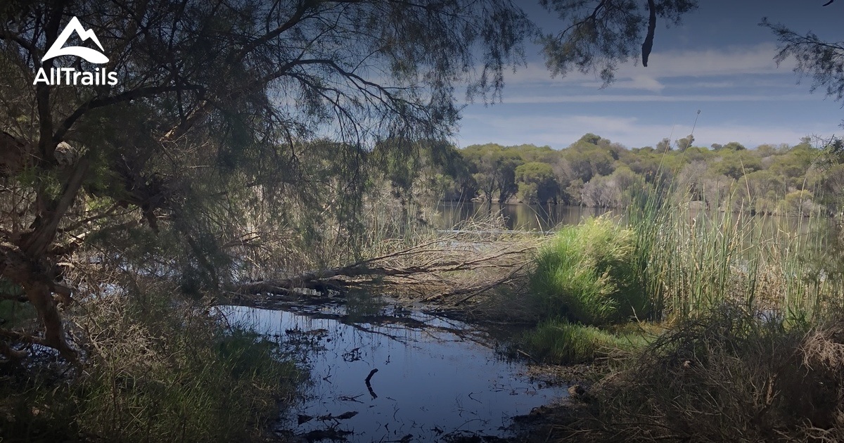 Best Trails in Carine Open Space - Western Australia, Australia | AllTrails